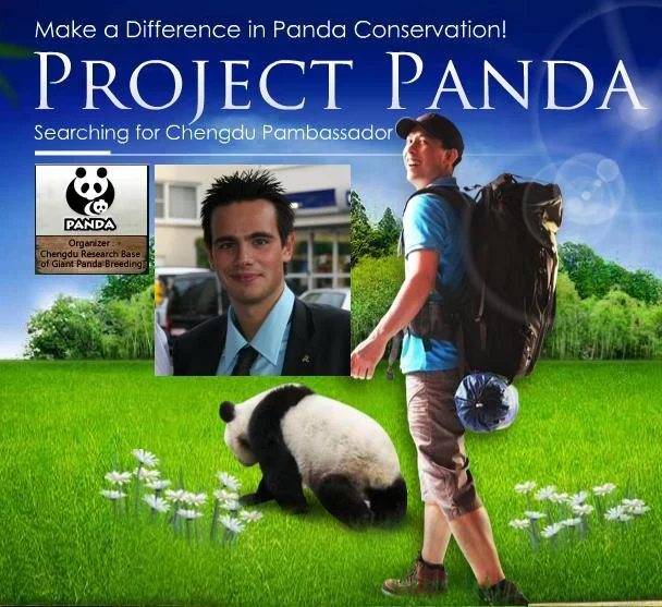 Pambassador - Please vote for me! - Giant Panda Global